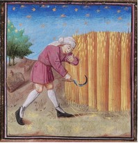 Medieval Grains